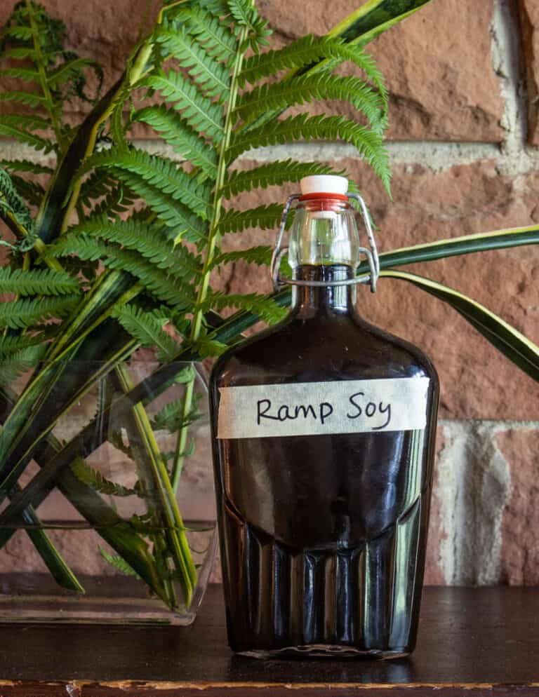 Ramp Leaf Infused Soy Sauce (Fermented) - Forager | Chef