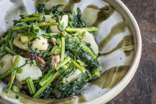 Foraging and Cooking Sochan or Cut-Leaf Coneflower Leaves