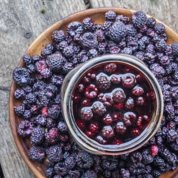The Ultimate Berry-Infused Vinegar - Forager | Chef