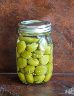 Foraging and Cooking Green Kentucky Coffee Beans