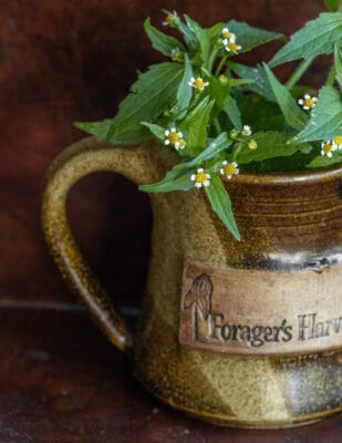 Ajiaco con Guascas: A Famous Columbian Chicken Soup (Recipe)