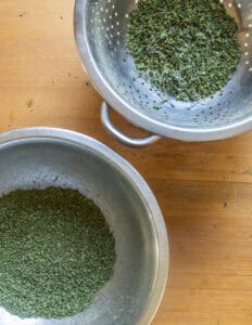 Galinsoga / Guascas: Harvesting and Cooking - Forager | Chef