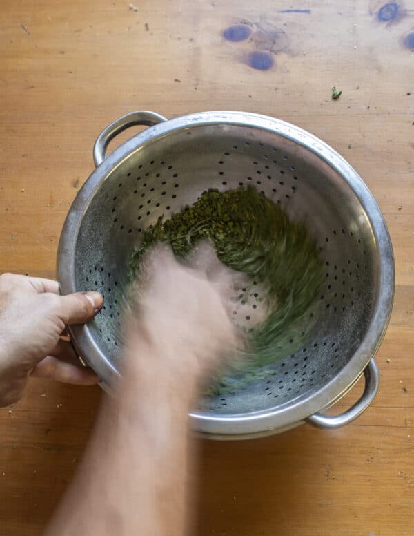 Ajiaco con Guascas: A Famous Columbian Chicken Soup (Recipe)