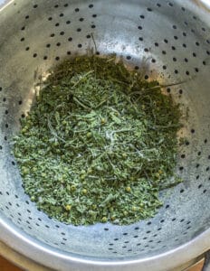 Galinsoga / Guascas: Harvesting and Cooking - Forager | Chef