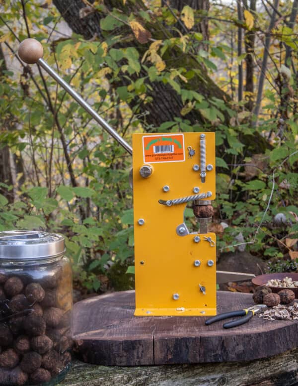 Black Walnuts: Harvesting, Cracking and Uses - Forager | Chef