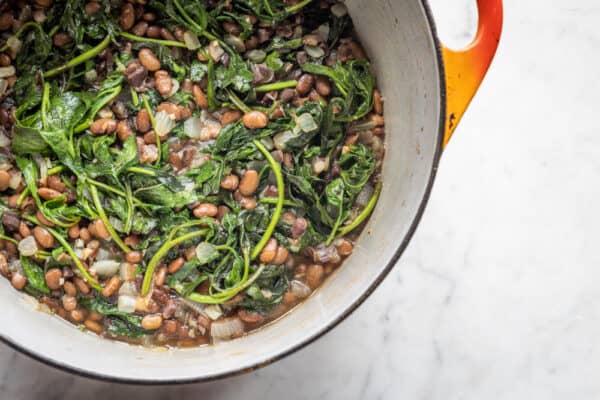 Foraging and Cooking Sochan or Cut-Leaf Coneflower Leaves
