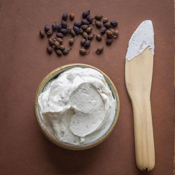 Spicebush Frosting Cream Cheese Frosting
