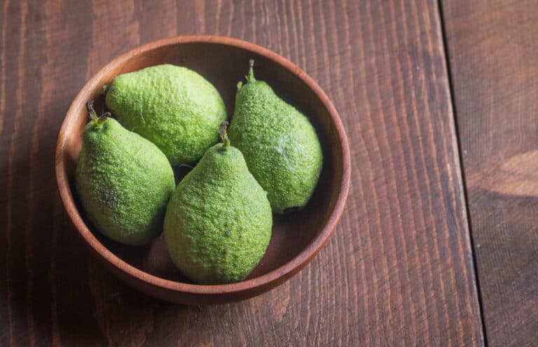 Green Walnuts: Harvesting, Cooking and Recipes - Forger | Chef