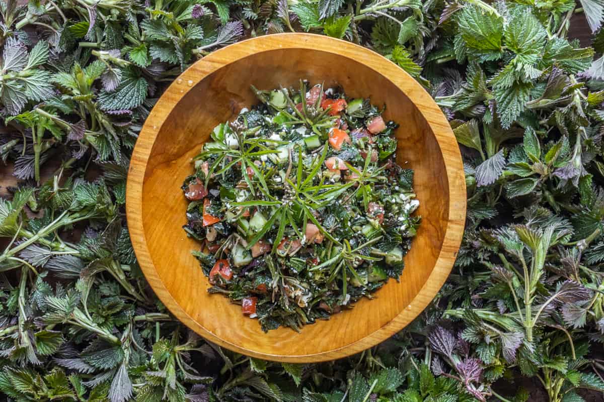 Turkish Nettle Salad (Isirgan Salatasi)