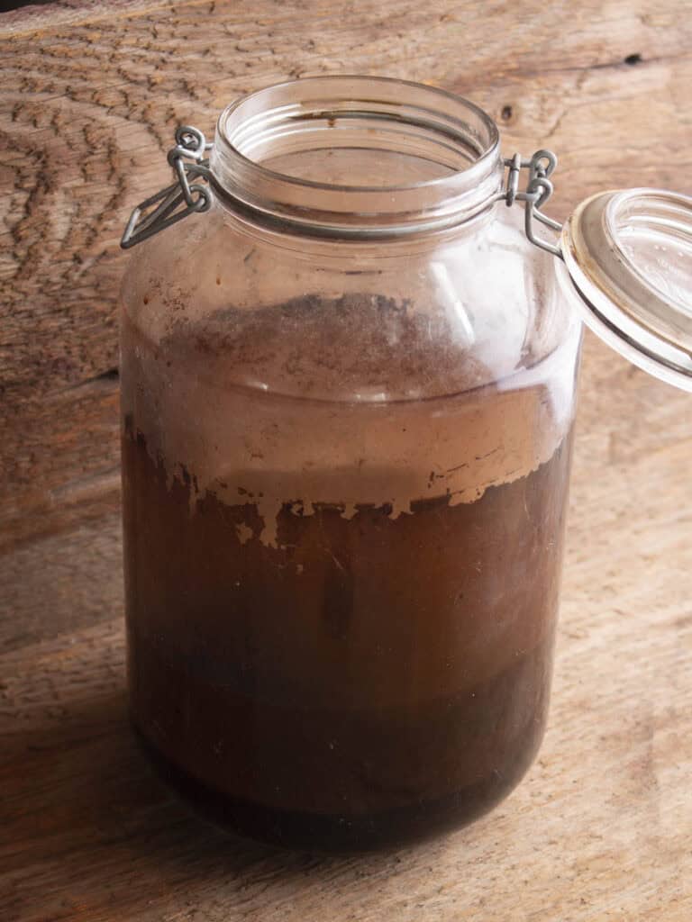 Walnut Wine / Vin de Noix (Recipe) - Forager | Chef