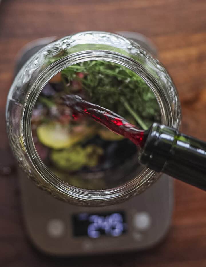 Walnut Wine / Vin de Noix (Recipe) - Forager | Chef
