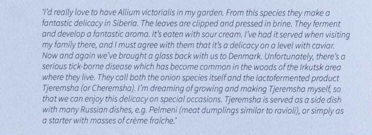 Cheremsha: Fermented Wild Onion Leaves (Черемша)