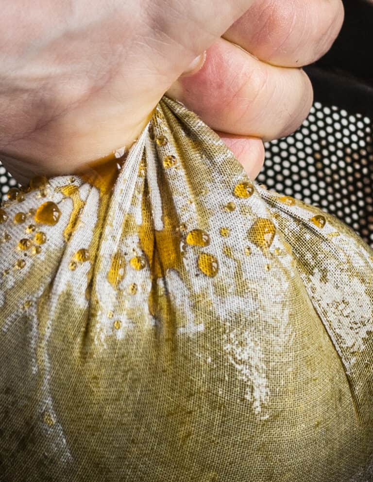 Ramp Leaf Garum (Vegan Fish Sauce)
