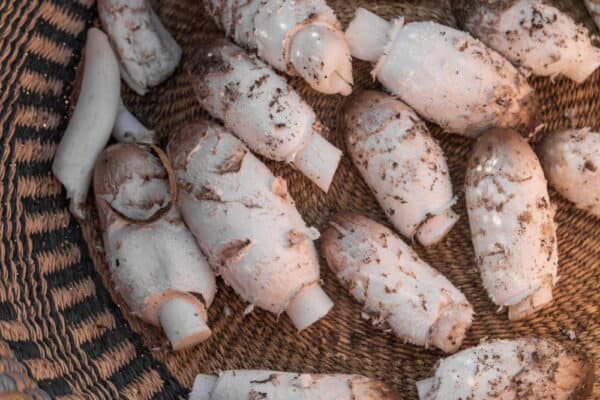 Shaggy Mane Ink Compound Butter - Forager | Chef