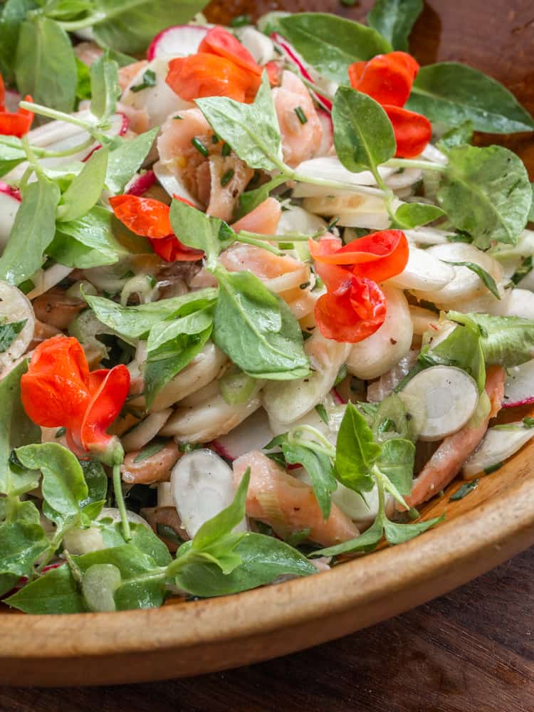 Cattail Rhizome Salad with Smoked Trout and Chickweed