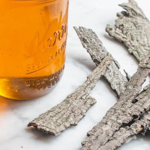 How to Make Shagbark Hickory Syrup