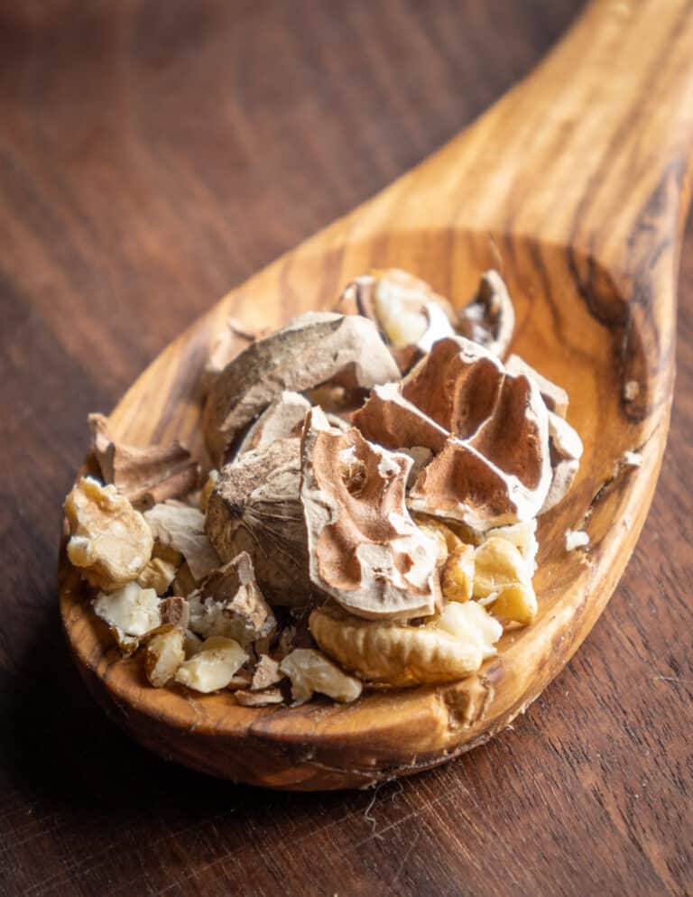 How to Make Hickory Nut Tea - FORAGER | CHEF