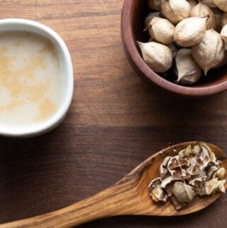 How to Make Hickory Nut Tea - FORAGER | CHEF