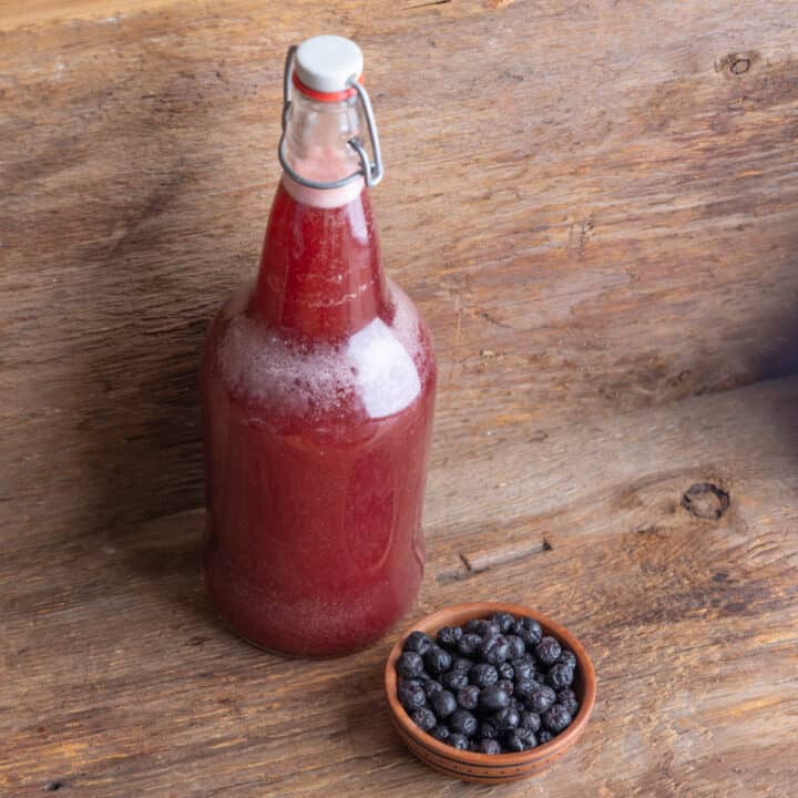 Aronia Wild Berry Cider - Forager | Chef