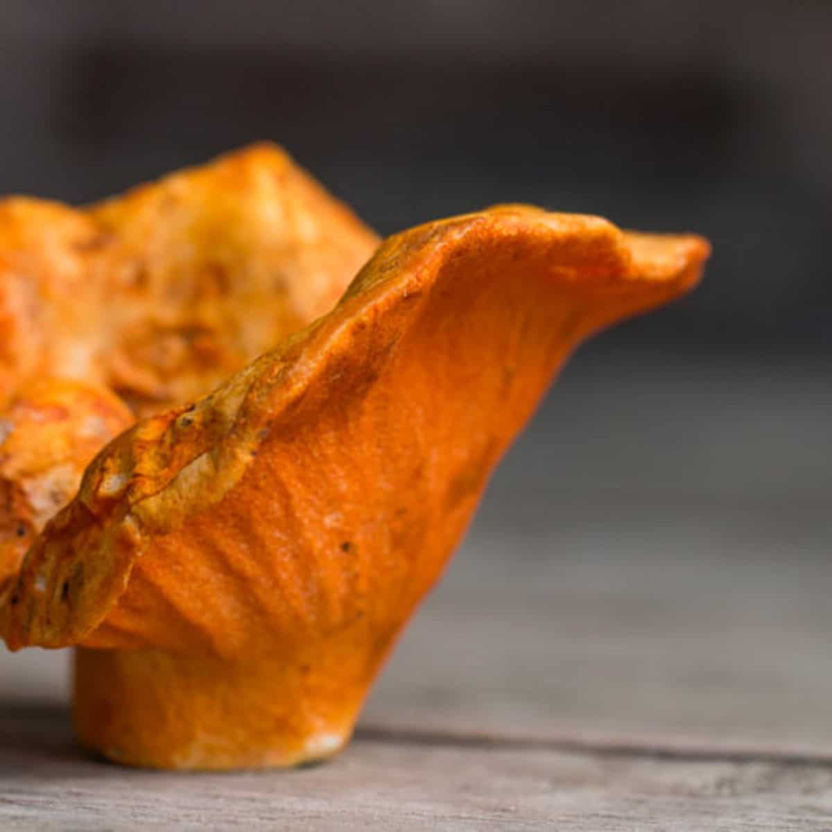 Foraged Food Recipes - Forager | Chef