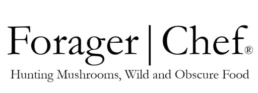 How to Cook with Cockscombs - Forager Chef