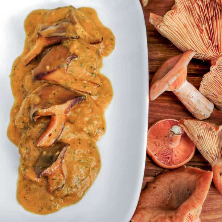 Spanish Fricando with Mushrooms - FORAGER | CHEF