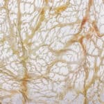 How to Cook with Caul Fat (Lace Fat) - Forager | Chef