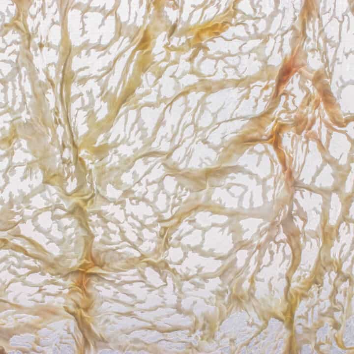 How to Cook with Caul Fat (Lace Fat) - Forager | Chef