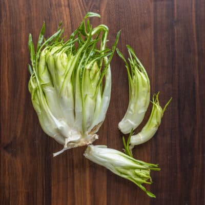 Puntarelle: A Deliciously Bitter Italian Chicory - Forager | Chef