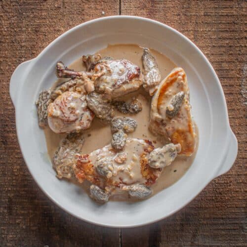 Pan Roasted Chicken with Morel Mushroom Sauce - Forager | Chef