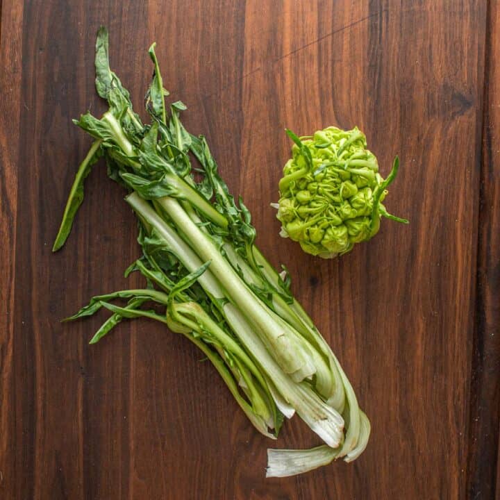 Puntarelle: A Deliciously Bitter Italian Chicory - Forager | Chef