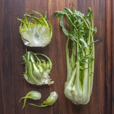 Puntarelle: A Deliciously Bitter Italian Chicory - Forager | Chef