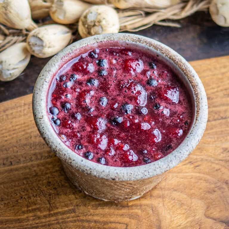 Wild Berry-Thíŋpsiŋla Wóžapi - Forager | Chef