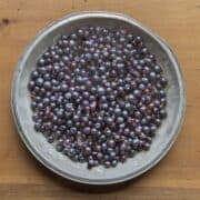 Guide to Sand Cherry (Prunus pumila): Harvesting and Cooking
