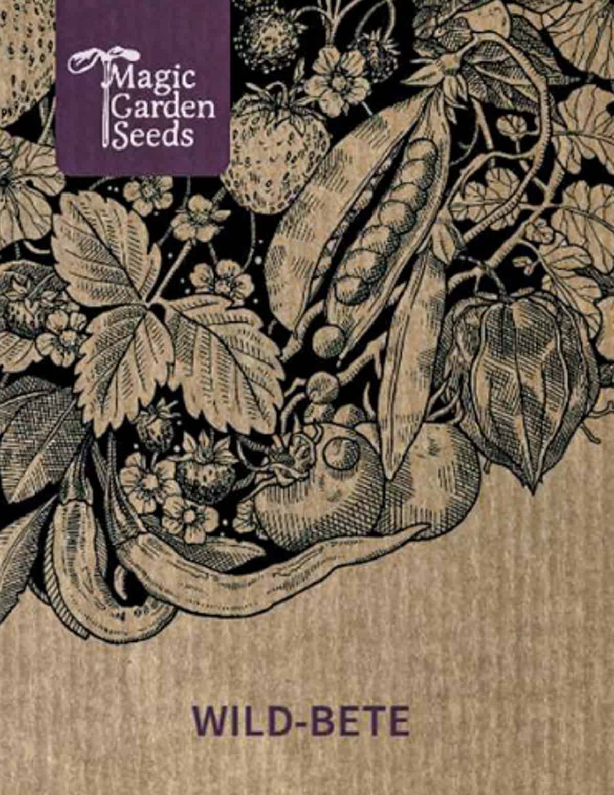 Growing and Cooking Sea Beet Greens - Forager | Chef