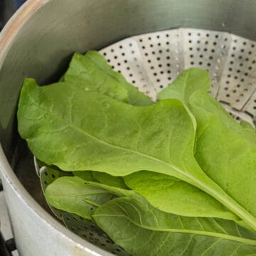 Growing and Cooking Sea Beet Greens - Forager | Chef