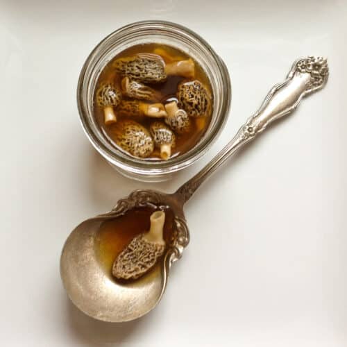 Pickled Morel Mushrooms Recipe - FORAGER | CHEF