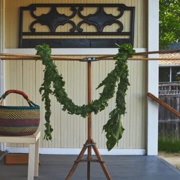 Aveluk: Armenian Dried Wild Sorrel (Dock) - Forager | Chef