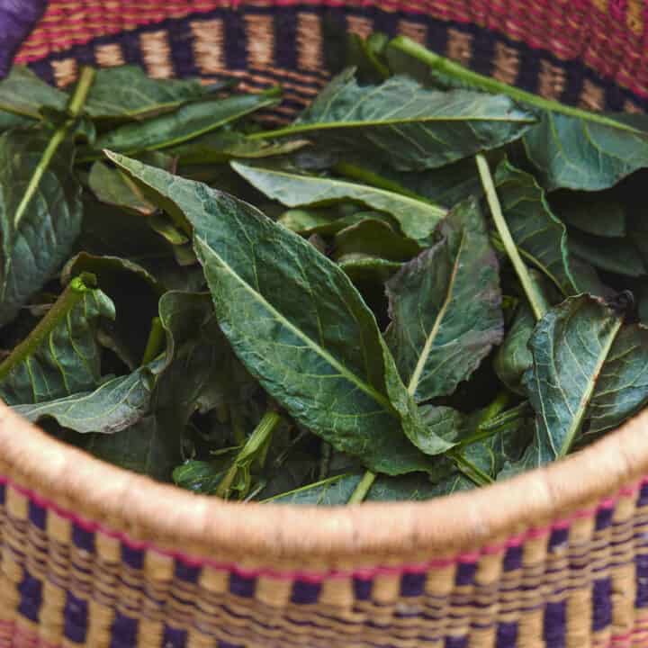 Aveluk: Armenian Dried Wild Sorrel (Dock) - Forager | Chef