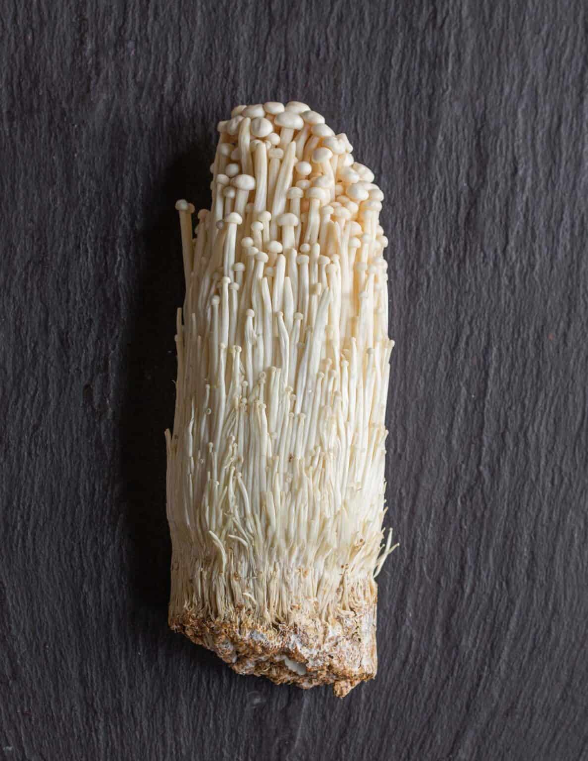 Enokitake or Velvet Shank Mushroom: ID, Cooking, Recipes, Uses