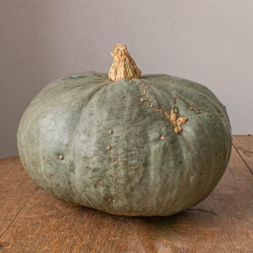 Caramelle: Candy-Shaped Pasta With Squash Filling (Recipe)