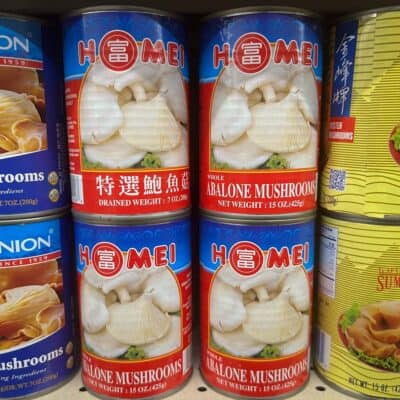 Abalone Mushrooms - Forager | Chef