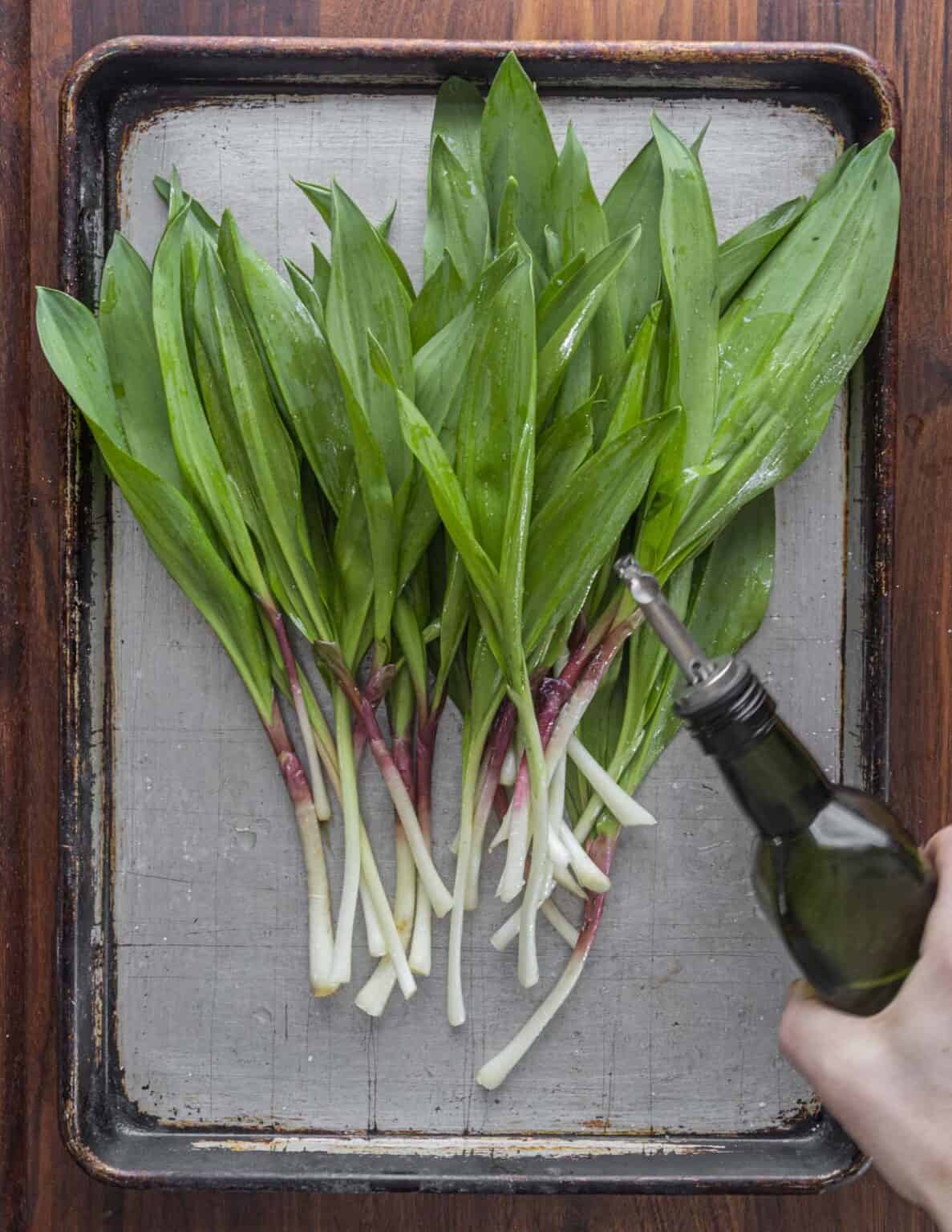 Grilled Ramps - Forager | Chef