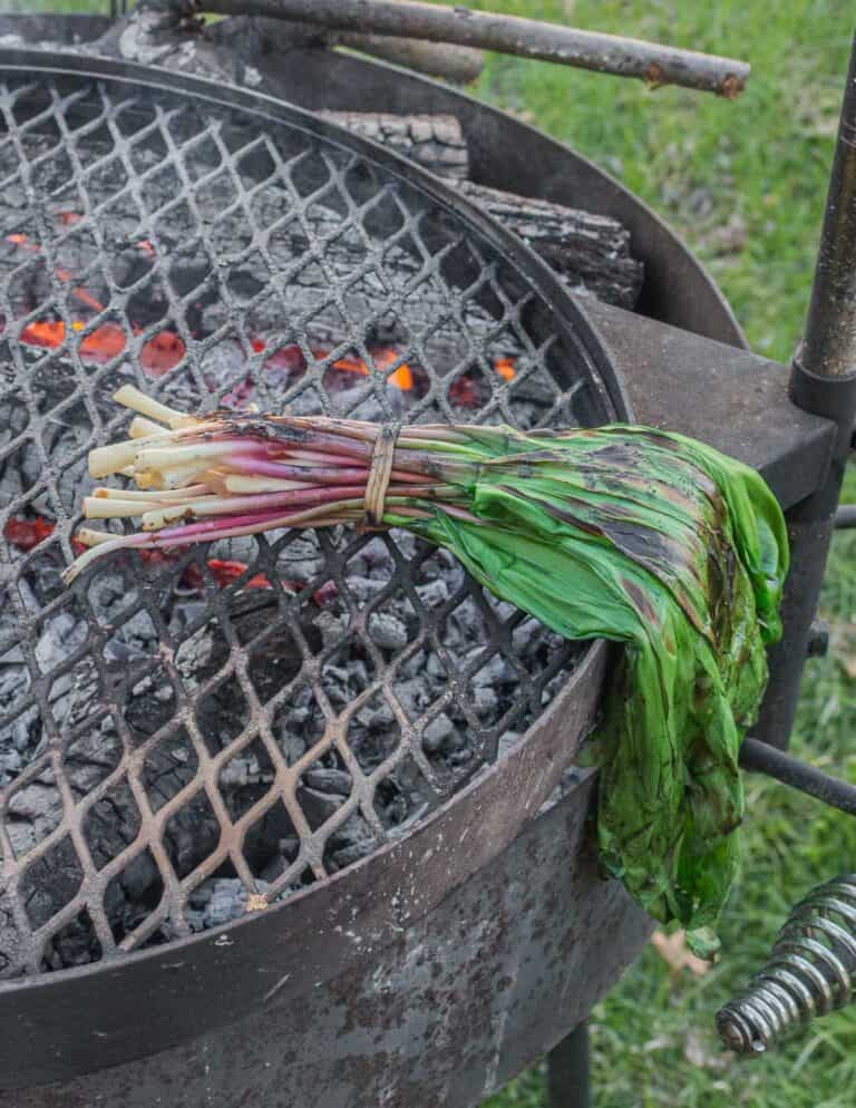 Grilled Ramps - Forager | Chef
