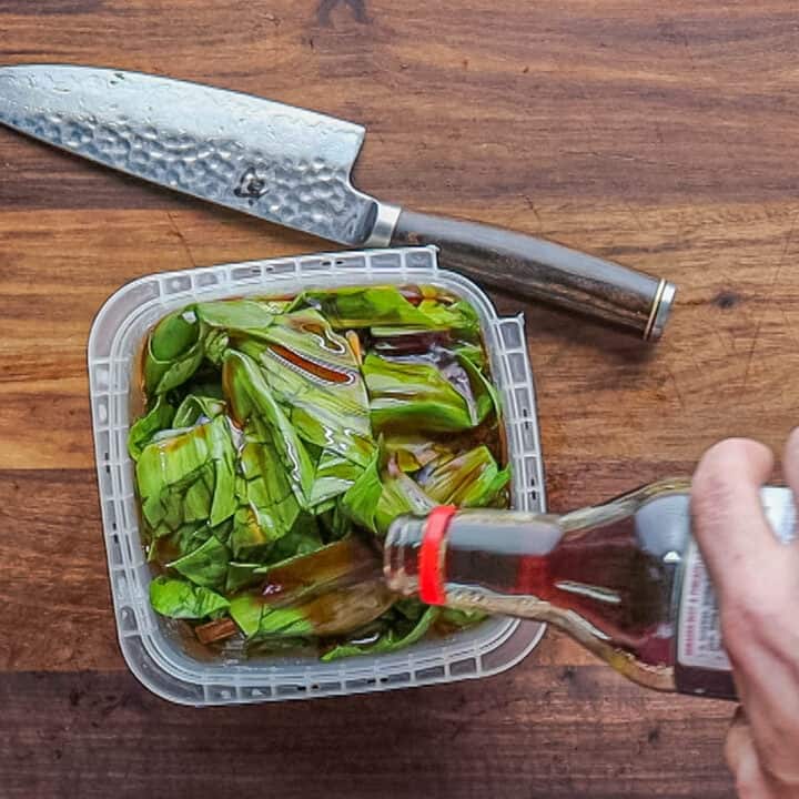 Ramp Leaf Infused Soy Sauce (Fermented) - Forager | Chef