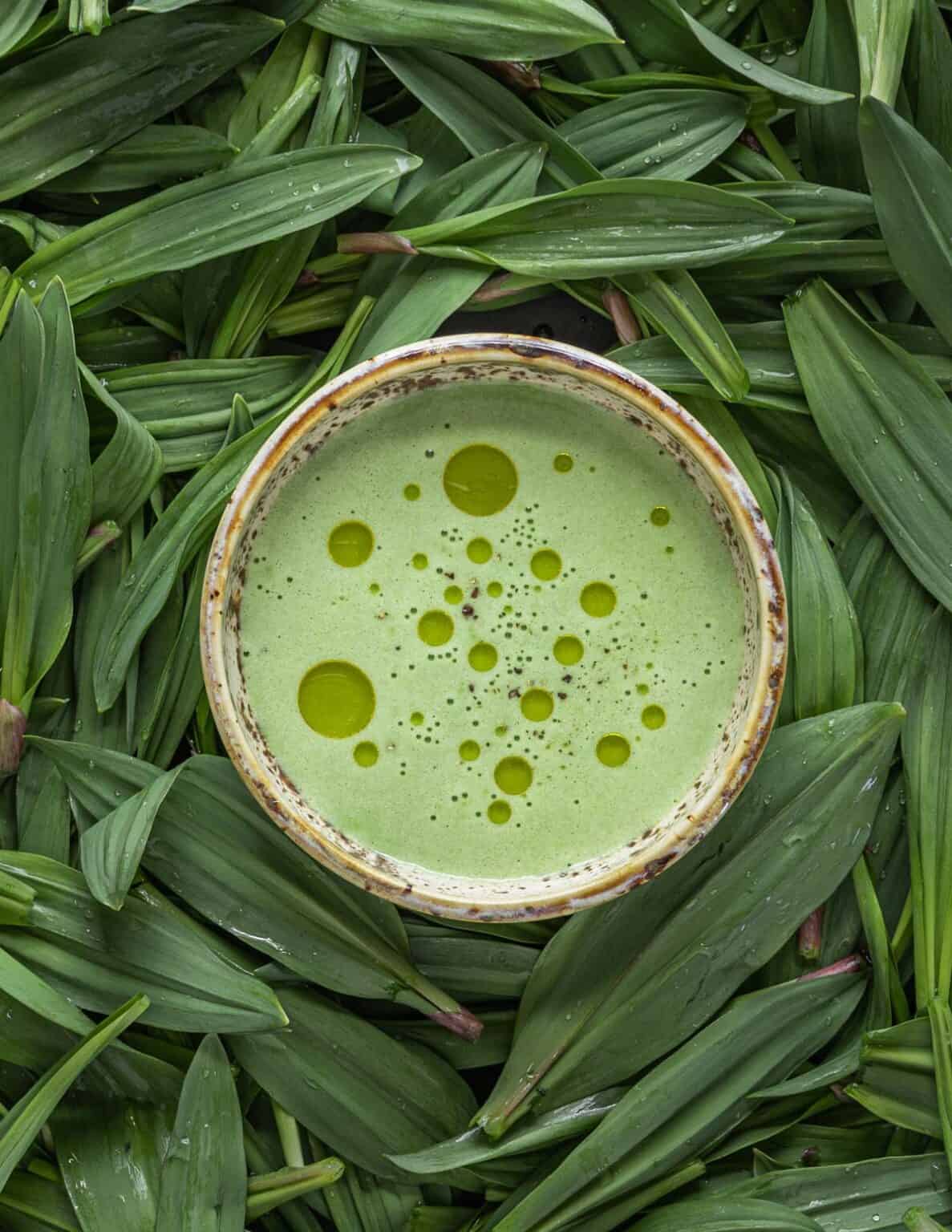 Creamy Ramson or Wild Garlic Soup - Forager | Chef