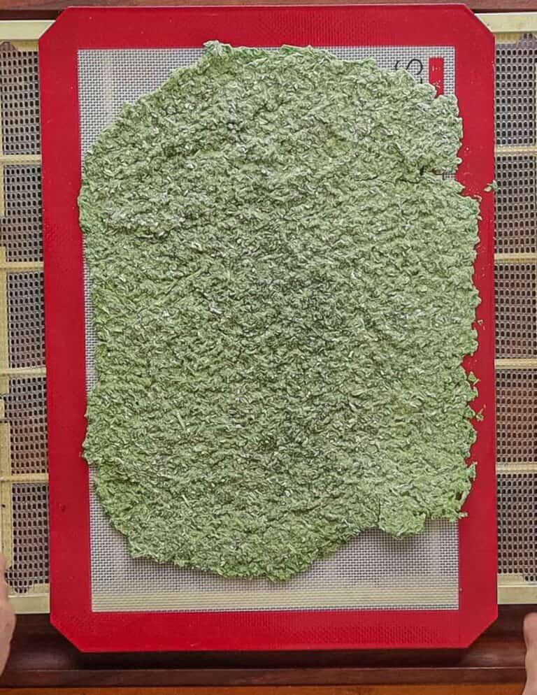 Wild Ramp Salt (Recipe) - Forager | Chef