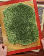 Wild Ramp Salt (Recipe) - Forager | Chef