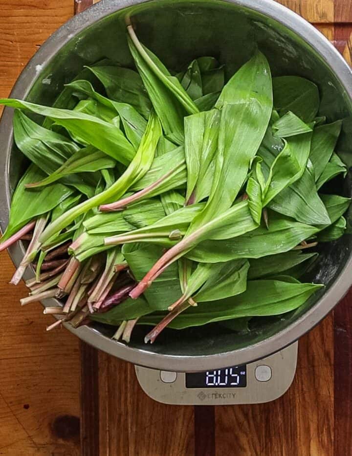 Wild Ramp Salt (Recipe) - Forager | Chef