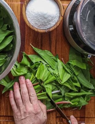 Wild Ramp Salt (Recipe) - Forager | Chef
